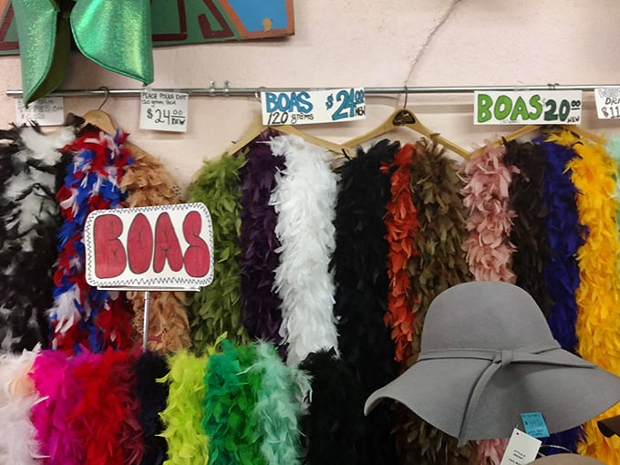 Feather boas in every color of the rainbow—because sometimes your outfit needs that extra flourish that screams "I'm not afraid of attention!"