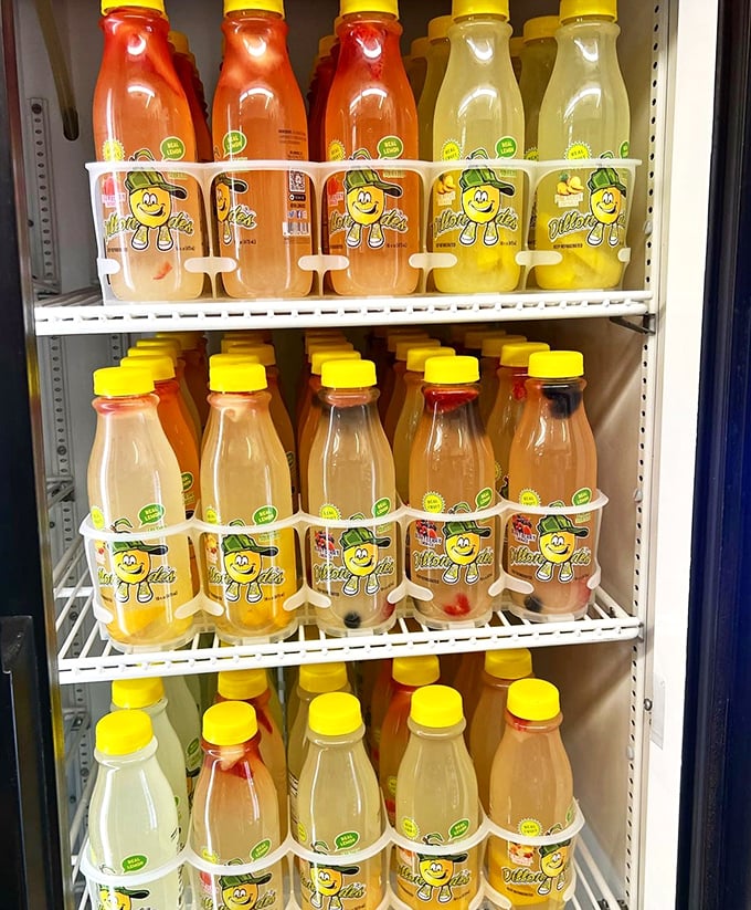 The colorful array of fruit drinks stands ready to combat hoagie-induced thirst—their cheerful bottles like little soldiers of refreshment.