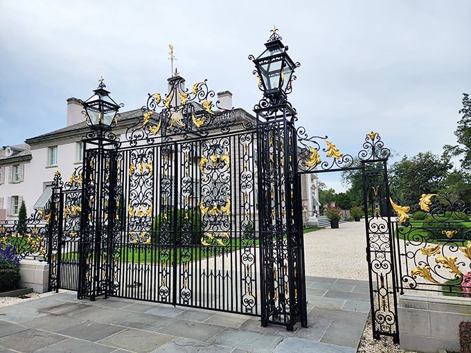 These gates don't just say "welcome"—they announce "you're about to see something spectacular" with all the subtlety of a Broadway musical's opening number.