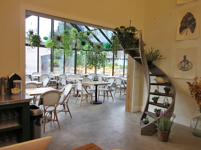 Dining under glass with hanging plants creates an atmosphere somewhere between "sophisticated greenhouse" and "I've finally made it in life."