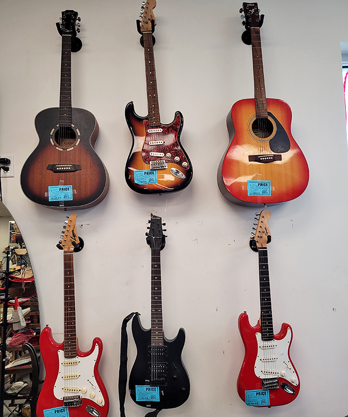 Silent guitars waiting for their next serenade—from beginner strummers to weekend rock stars, your musical journey starts here.
