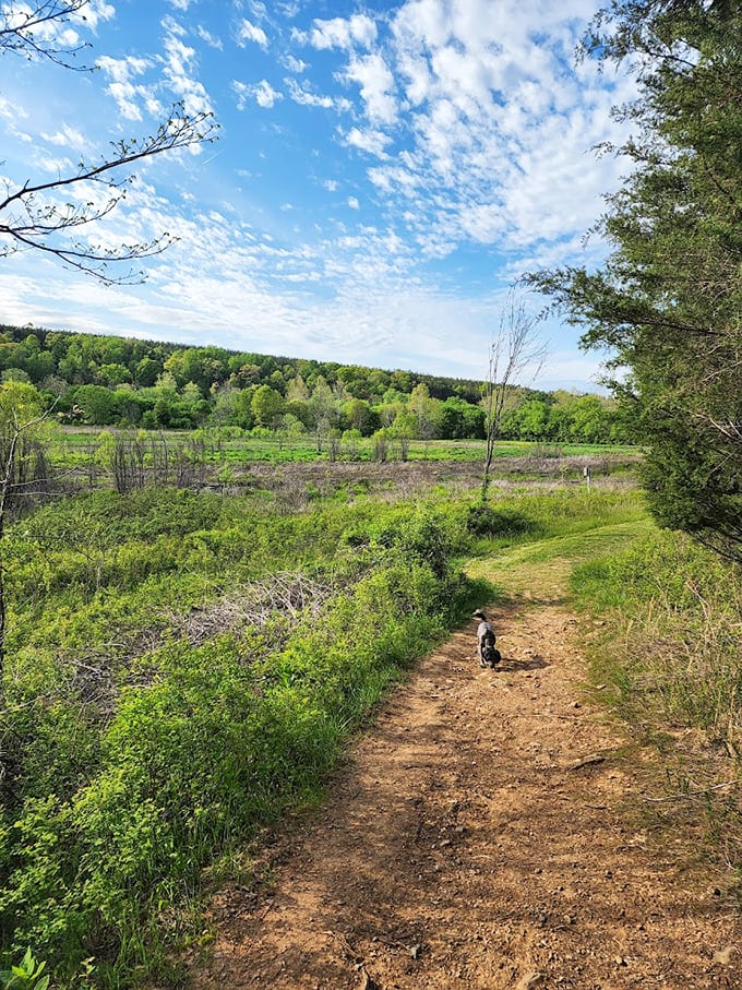 A trail that promises adventure with every bend – plus a four-legged tour guide who's working for treats and belly rubs.