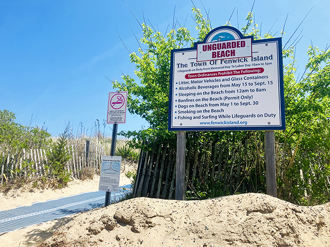 Rules of engagement for beach enjoyment. The fine print of paradise requires no attorneys—just common sense and respect.
