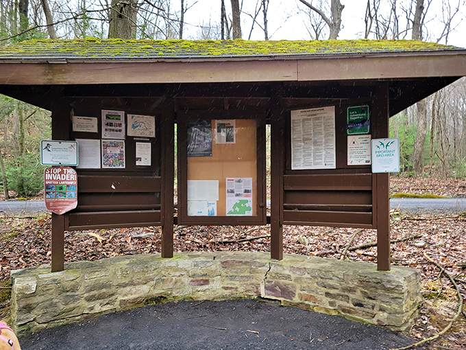 The park's information board—where cell service goes to die and actual paper maps still reign supreme. Old-school communication at its finest.