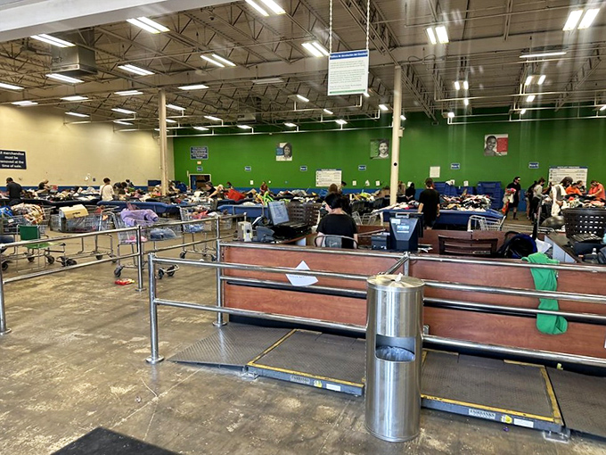 The green wall creates a strangely calming backdrop for this retail wilderness. Somewhere in those bins, your next conversation piece awaits.