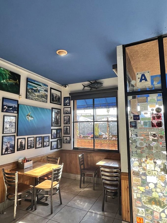 The blue ceiling and fishing photos create a dining room that feels like being inside an aquarium—except you're eating the exhibits. Maritime charm without the seasickness.