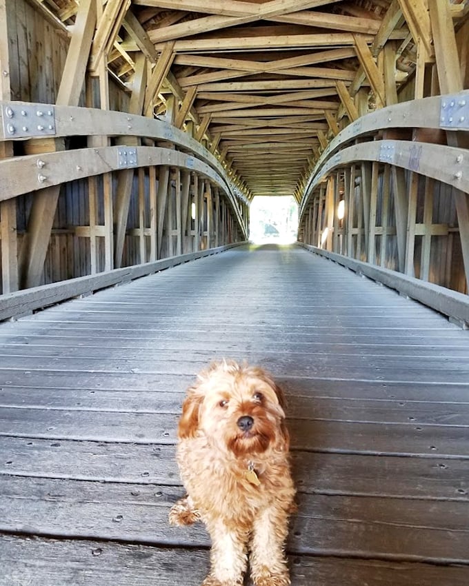 Even furry companions appreciate the architectural marvel—this pup knows a good photo op when they see one.