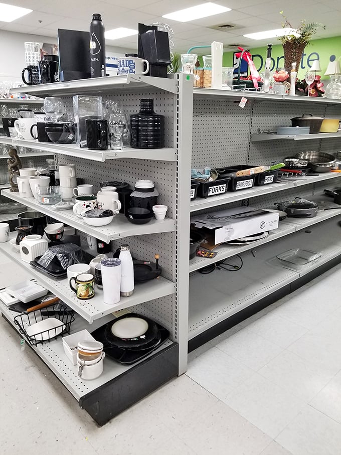 Kitchen treasures await the discerning eye – that perfect mug or vintage Pyrex might be hiding between ordinary plates and bowls.