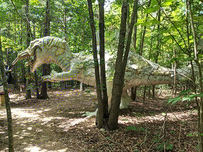 A pale dinosaur lurks between the trees, demonstrating why you should always look up when walking through Virginia forests.