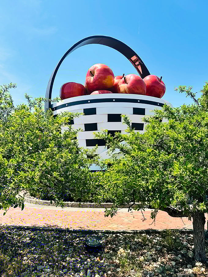 The tree-lined pathways surrounding the basket create a pleasant park-like setting, perfect for contemplating life's big questions—like "Why a basket?"
