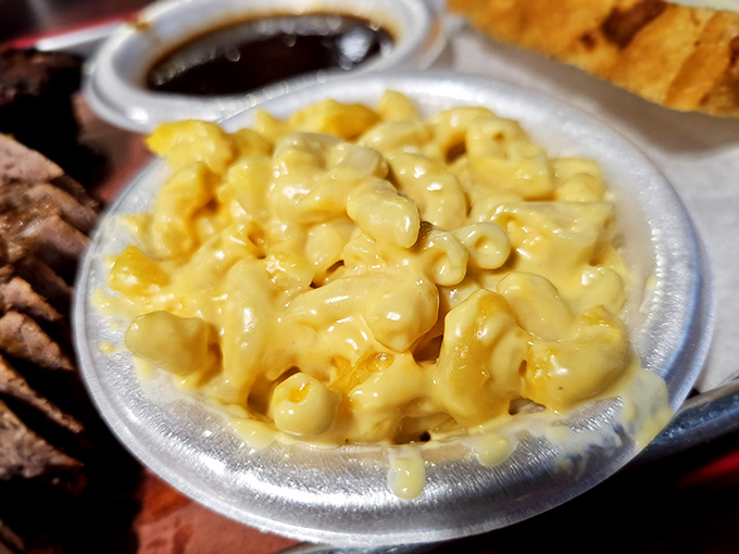 Mac and cheese that achieves the golden ratio of creaminess to firmness. This isn't a side dish—it's a childhood memory upgraded.