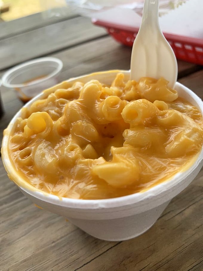 Mac and cheese so creamy and rich it should probably have its own area code. This isn't a side dish—it's a co-star.