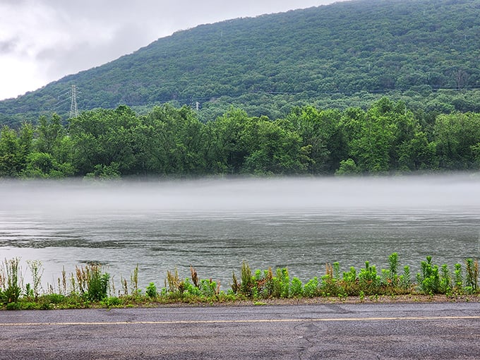 Morning mist doesn't just rise—it dances across the water, transforming an ordinary river view into something straight from a fantasy novel.