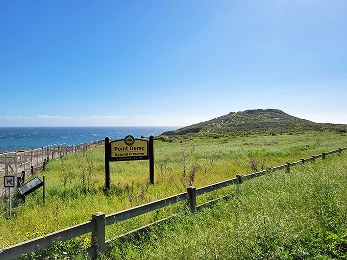 "Point Dume Natural Preserve"—four words that translate to "put down your phone and look around" in every language on Earth.