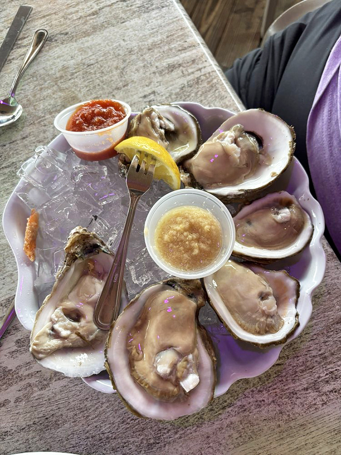 Oysters on the half shell—nature's perfect appetizer. Just a squeeze of lemon, a dab of sauce, and you're communing with the ocean.