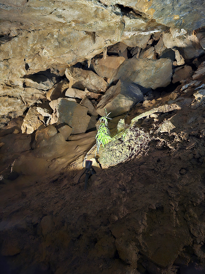 Fellow explorers navigate the narrow passages, their expressions capturing that perfect mix of wonder and "watch your head!"