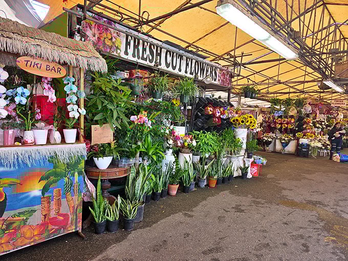 The plant section brings jungle vibes to your shopping adventure. That "Tiki Bar" sign is practically begging you to create a backyard oasis.