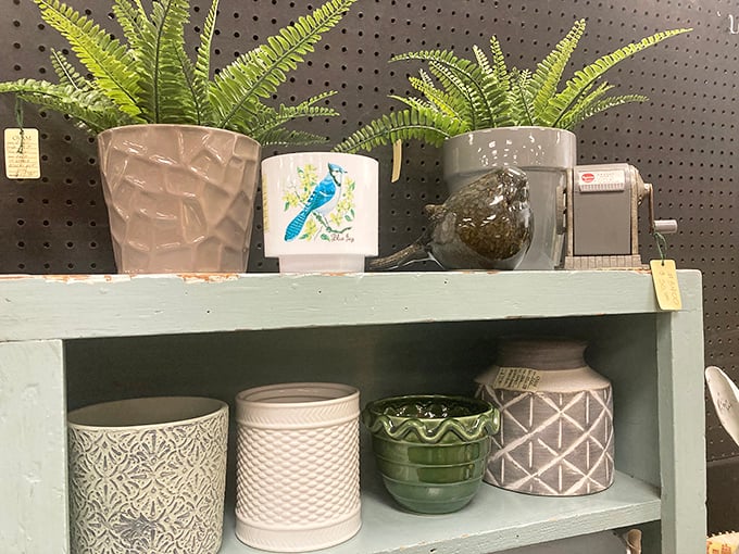 These aren't just planters—they're potential homes for the houseplants you'll inevitably kill. The cycle of plant life continues at $4.99 each. 