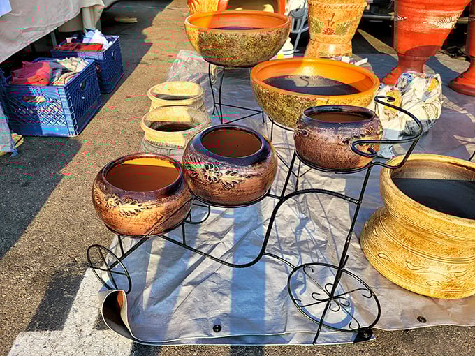 Terracotta treasures waiting to cradle your garden dreams. These aren't your grandmother's planters—unless your grandmother was exceptionally stylish.