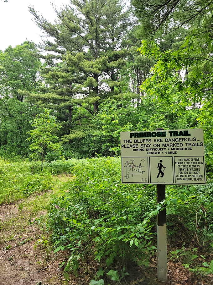 The Primrose Trail sign doesn't just mark a path—it offers an invitation to adventure with a side of caution.