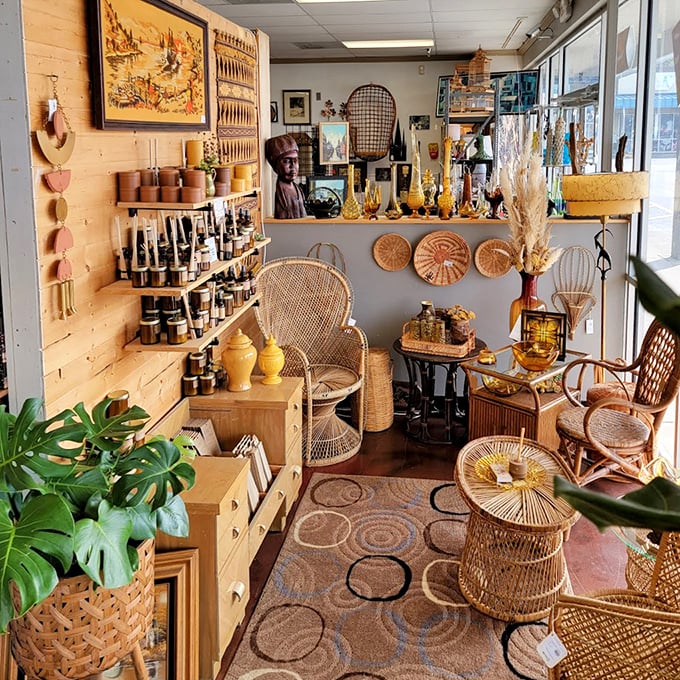 Rattan paradise! These woven wonders transport you straight to a 1970s sunroom where macramé and monstera plants reign supreme.
