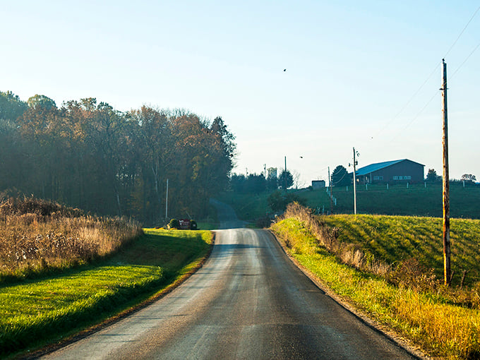 Country roads take you home—or to someone else's picturesque homestead. This pastoral scene is pure Americana, no filter needed.
