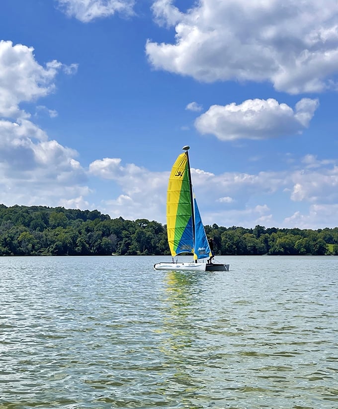 That colorful sail against Pennsylvania's blue canvas isn't just transportation—it's performance art with nature as the audience.