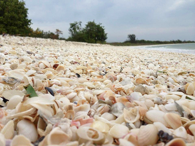 Beyond the domes, Cape Romano's beaches offer shell collectors a treasure trove that would make any beachcomber's heart skip a beat.