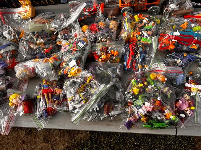 Childhood heroes in plastic form! These bagged action figures await collectors who understand that "mint condition" are the two sweetest words in collecting.