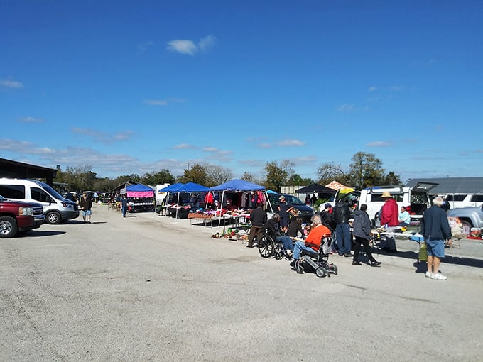 The market's rhythm changes throughout the day, from early-bird intensity to the afternoon's leisurely browse, all under Florida's impossibly blue sky.
