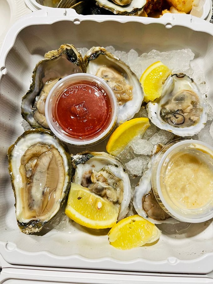 Fresh oysters on ice with bright lemon wedges—nature's perfect appetizer just waiting for a splash of cocktail sauce.