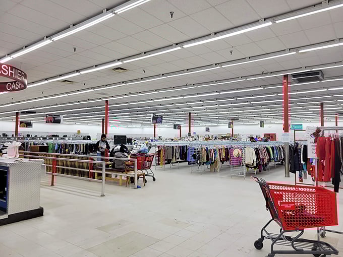 The thrill of the hunt in full display. Those red shopping carts will soon be filled with unexpected treasures and practical finds.