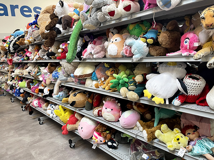 Stuffed animal adoption center: where gently-loved teddy bears and forgotten Pokémon await their chance at a second childhood.