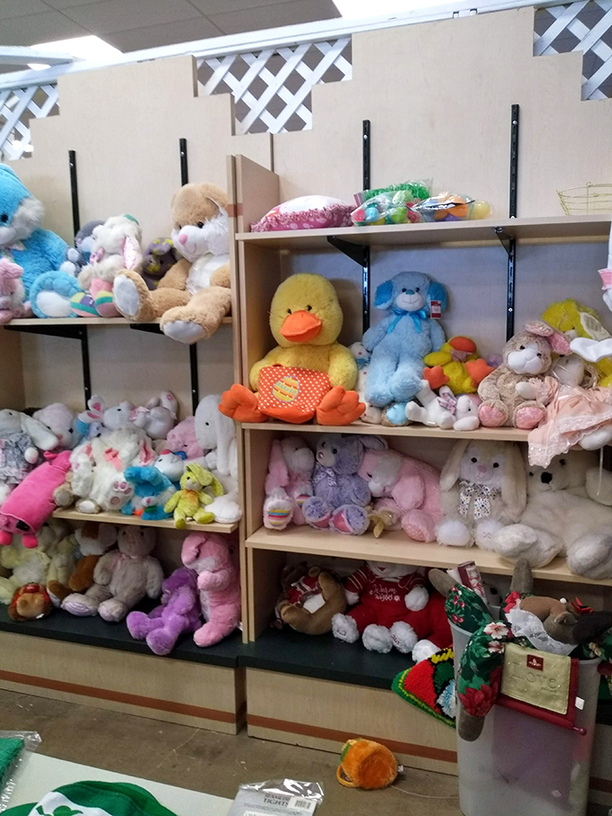 Stuffed animal paradise – where abandoned teddy bears find new homes and children discover pre-loved cuddle buddies with built-in character.