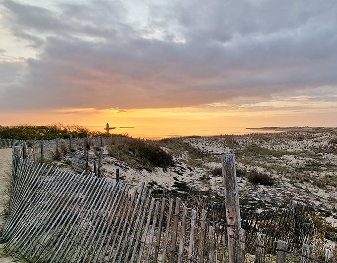 Sunset transforms the dunes into a golden kingdom. Those wooden fences aren't just for erosion control—they're front-row seats to nature's light show.