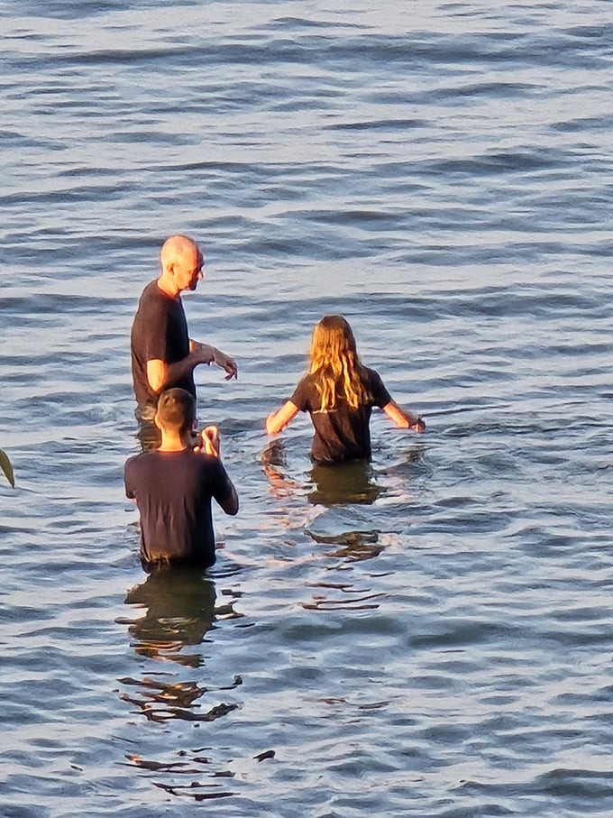 Family swimming lessons in Lake Erie—where "just a little deeper" becomes a memory that lasts longer than any souvenir t-shirt.