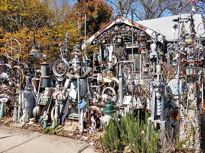 The house itself becomes a canvas, where everyday objects transform into a symphony of textures that would make Marie Kondo simultaneously faint and applaud.