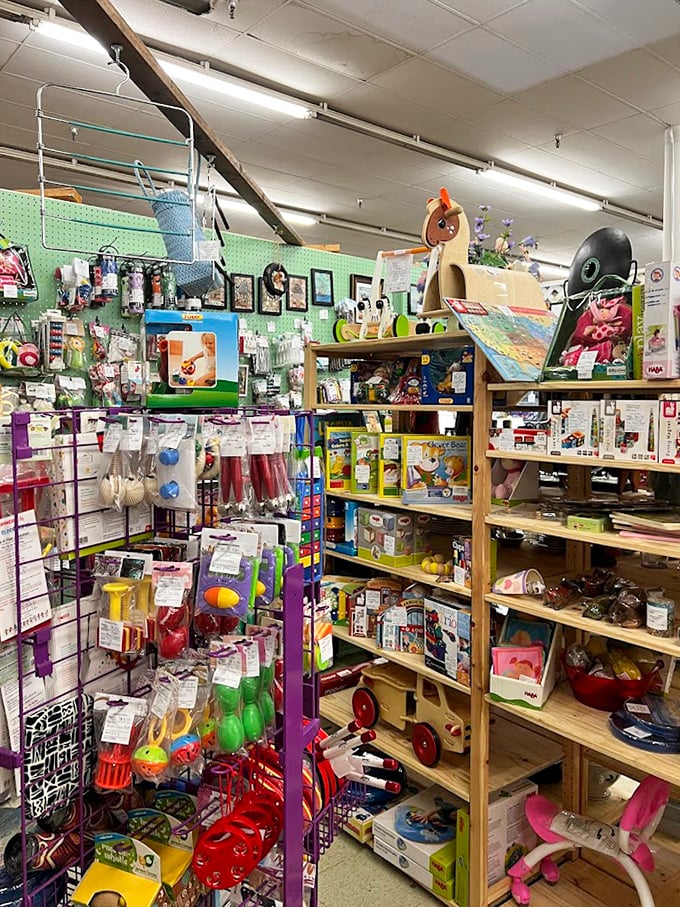 Childhood memories stacked neatly on wooden shelves. Those toys didn't need batteries or Wi-Fi to spark imagination—just a kid with time to play.