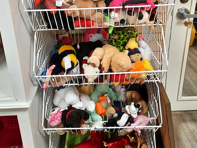 A menagerie of plush companions awaits adoption. These stuffed animals offer cuddles without the vet bills—a win-win situation.