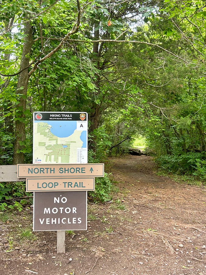 The North Shore Loop Trail beckons with promises of lakeside views and wildlife encounters—just follow the signs and leave your car troubles behind.
