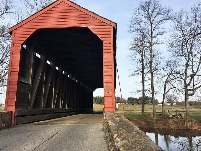 Peering into the bridge's mouth reveals the impressive skeletal structure within. A testament to craftsmanship that predates power tools and prefab materials.