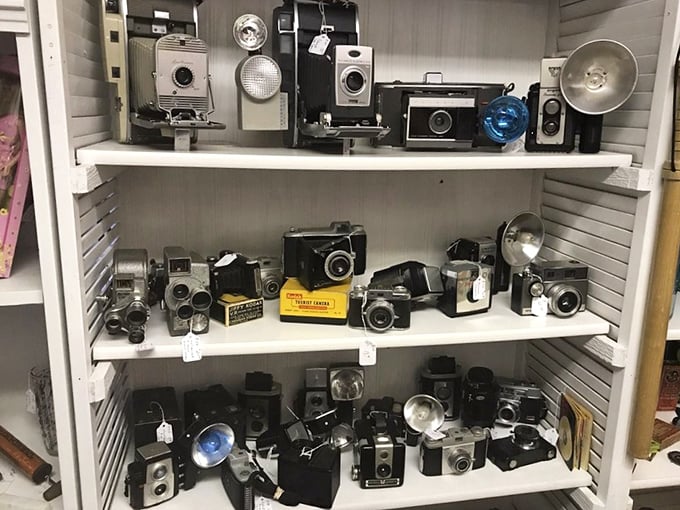A photographer's time capsule – these vintage cameras once captured family vacations and first days of school long before selfies were even a concept.