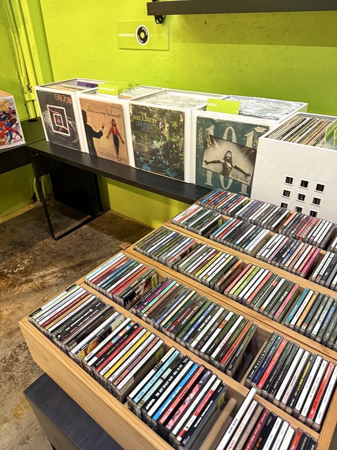 Vinyl heaven organized in wooden dividers—each album sleeve a colorful portal to soundtrack memories you thought time had erased.