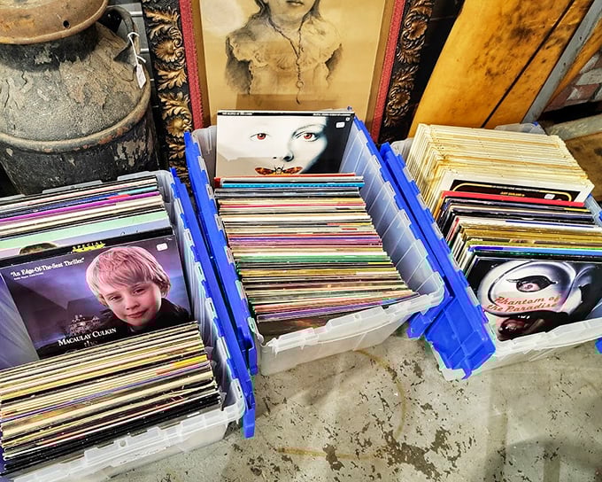 Vinyl heaven for record collectors. Somewhere in these bins is the soundtrack to your parents' first date—or your rebellious phase.
