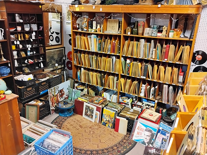 A vinyl collector's dream corner—where album hunting becomes time travel and every sleeve holds musical memories.
