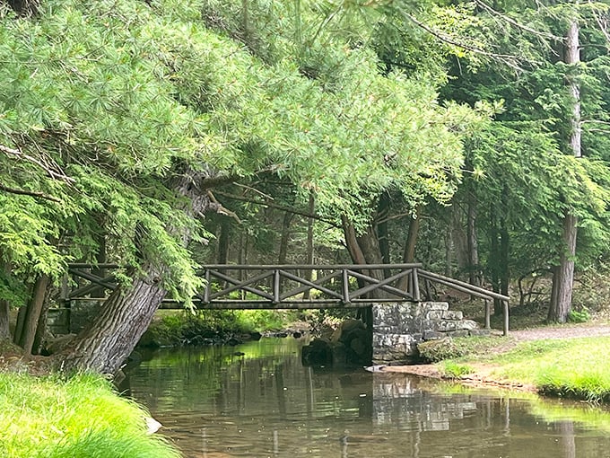 Another bridge, another reason to pause. The architect? Mother Nature. The building materials? Time, patience, and Pennsylvania craftsmanship.