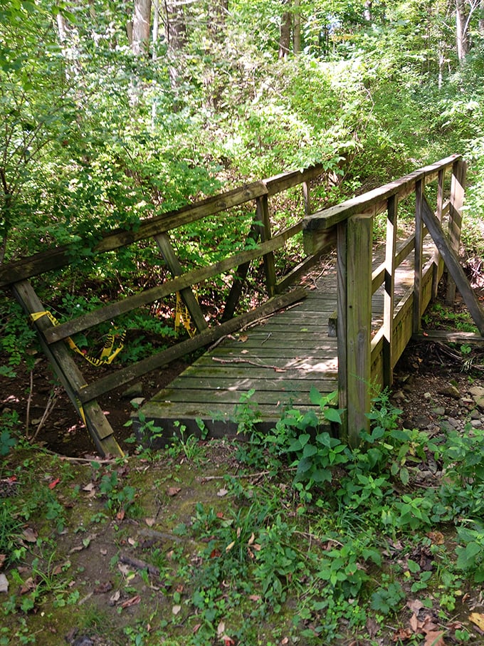 This charming wooden bridge isn't just crossing a stream – it's inviting you to leave your worries on the other side.