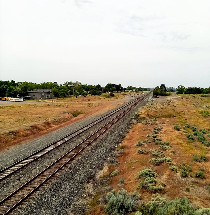 Boardman's wide horizons make you realize how much sky you've been missing in the city.