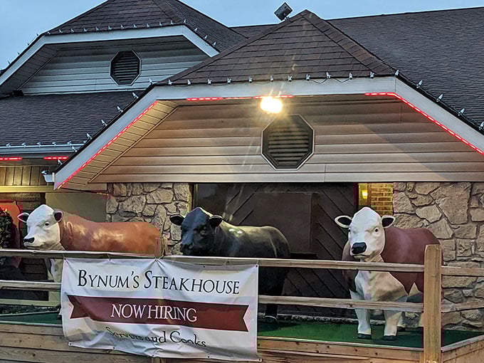 Bynum's playful cow brigade stands guard over Indianapolis steaks so good, vegetarians might reconsider their life choices.