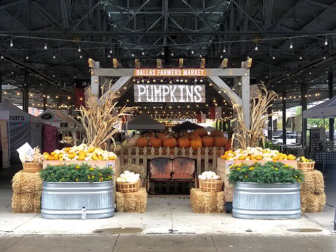 The Dallas Farmers Market knows how to dress up for fall—those pumpkins are practically posing for Instagram.